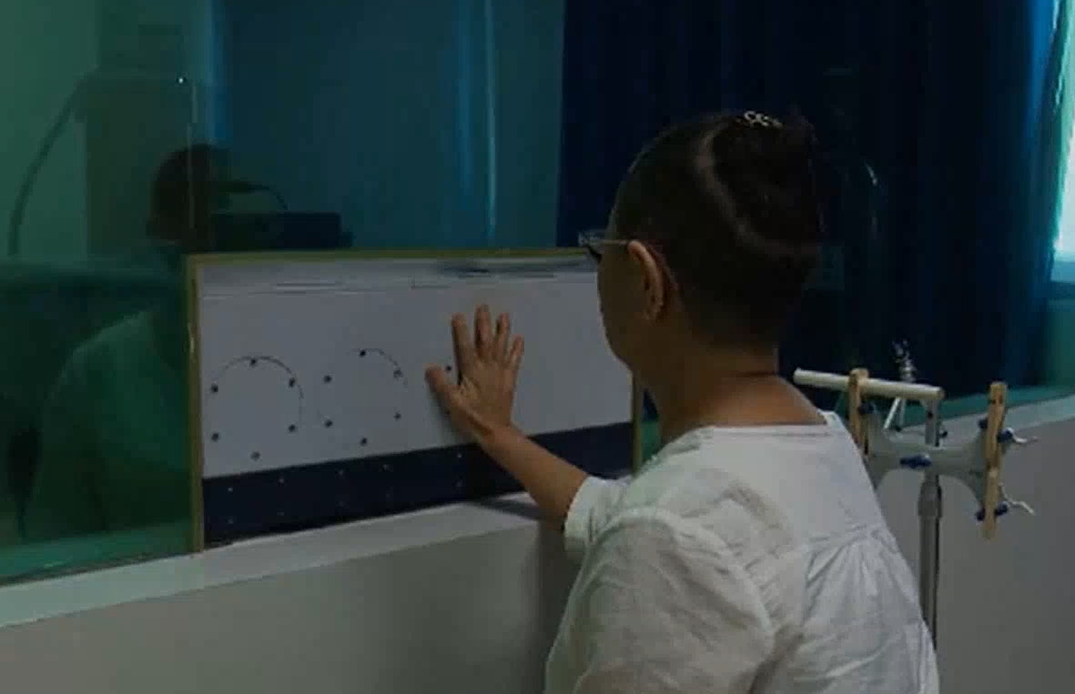 Does Qi Really Exist? — Zhineng Qigong Student's Hub